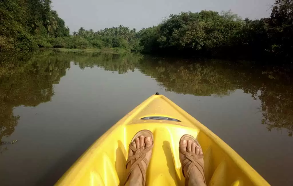 Mangrove Kayaking In Goa - Backwater Kayaking Package - Goa